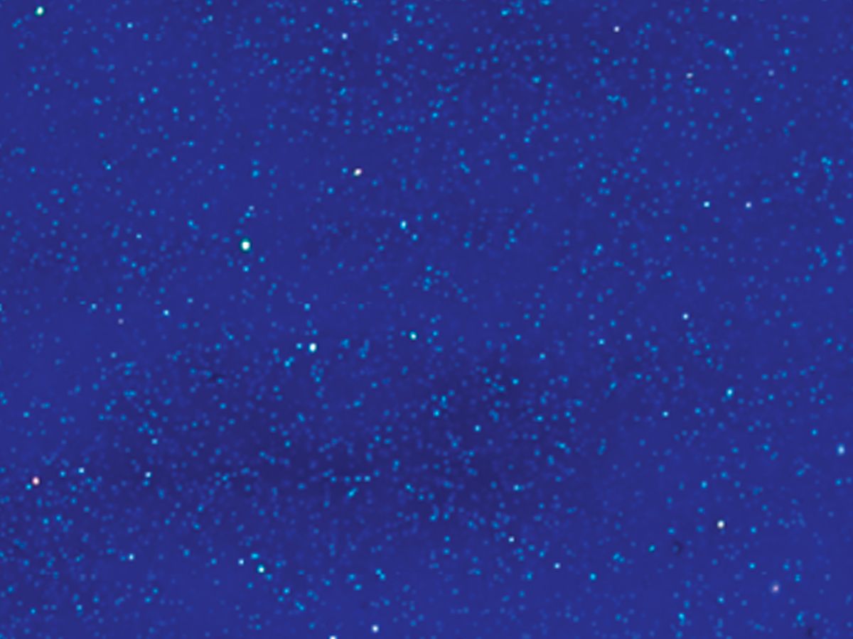 Pool Colours – Century Pools Sunshine Coast